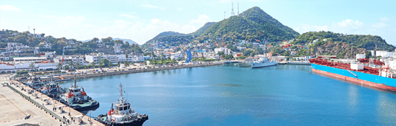 The CJNG Cartel: An Intel Analyst’s Guide for Travelers to Mexico