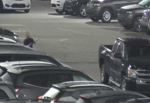 Prevented Auto Theft of Car Dealership